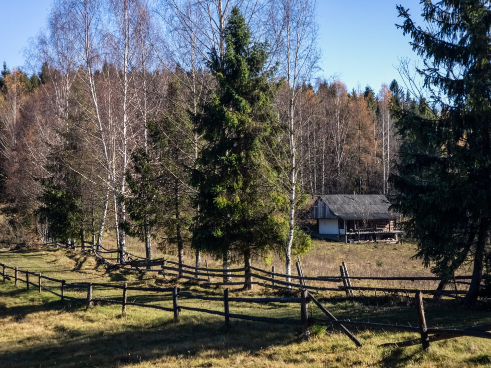 Building Resilient Homestead Life Systems: Practical Steps For ...